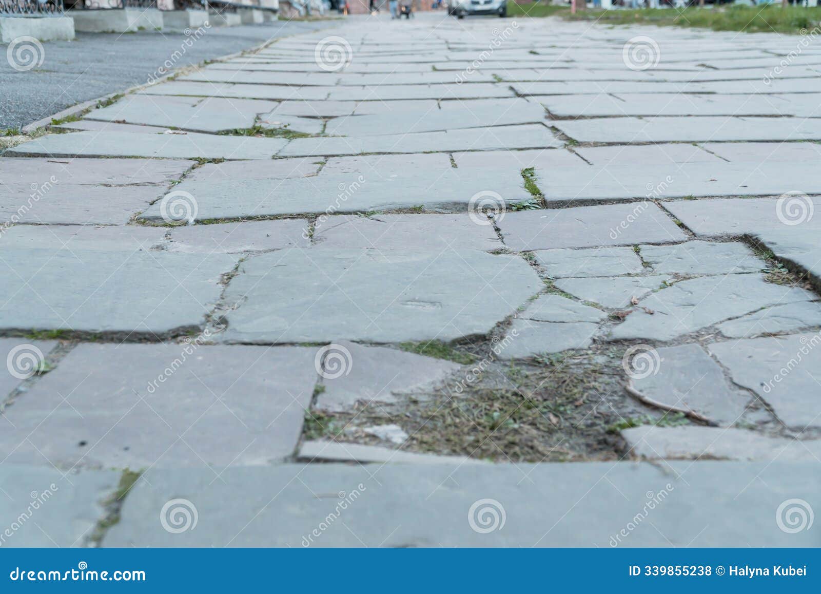 Worn Cobblestone Pathway through Overgrown Grass in Urban Setting Stock ...
