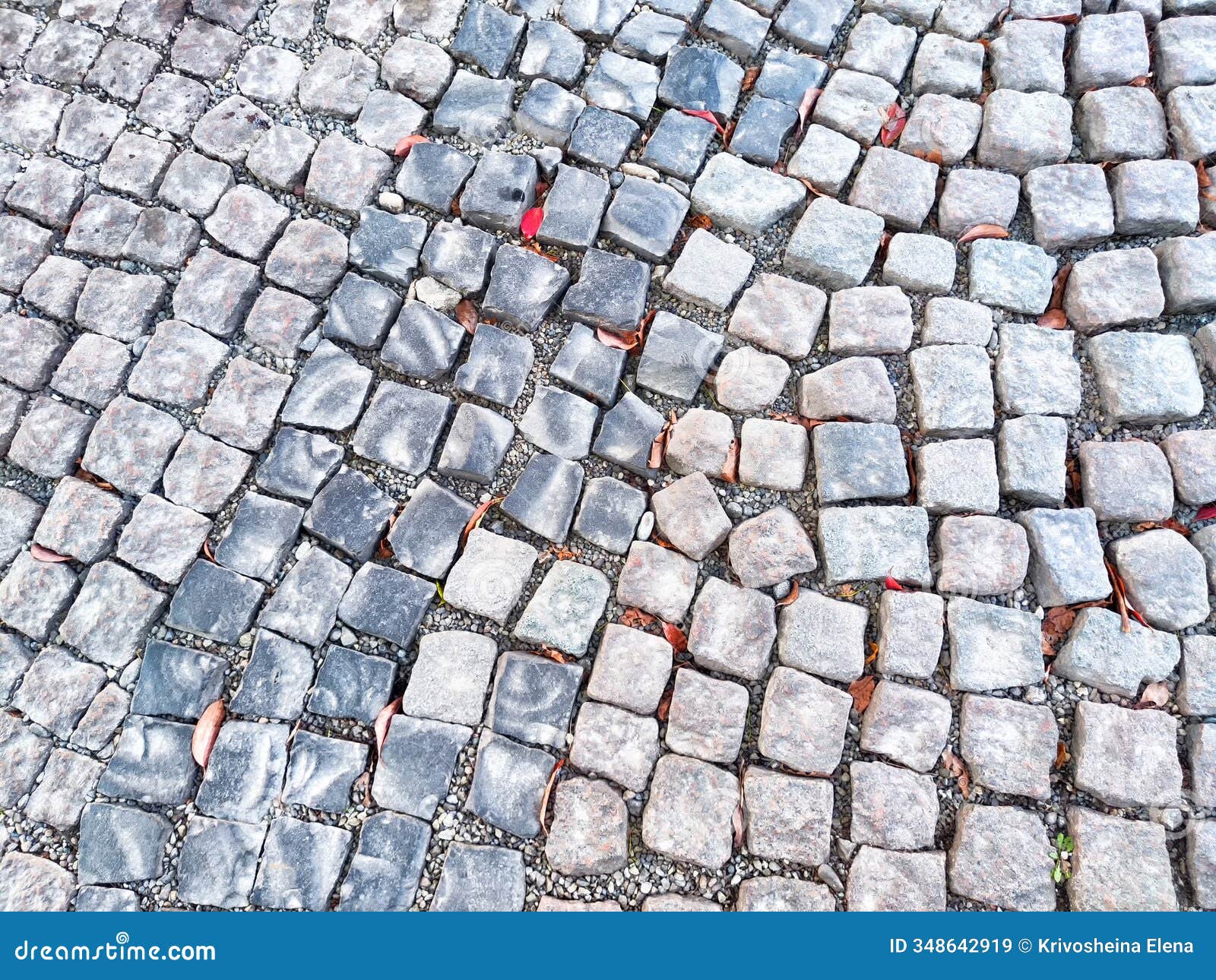 Worn Cobblestone Pathway with Scattered Leaves in a Historic Urban ...