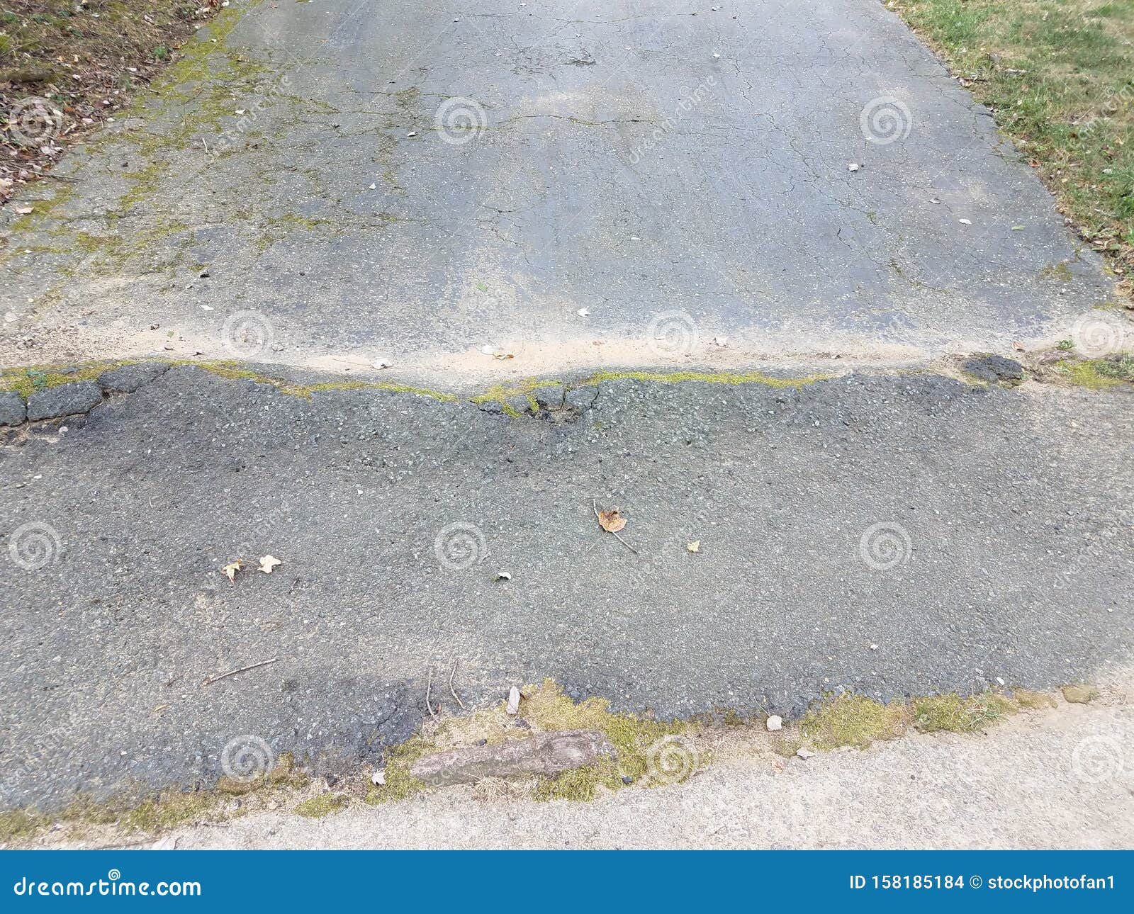 Worn Asphalt Driveway with Tree Root Underneath Stock Photo - Image of ...