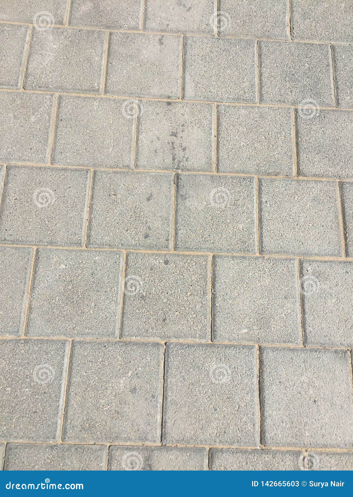 Worn Footpath Walk Textured , Gray Brick Block Floor. Grey Brown ...
