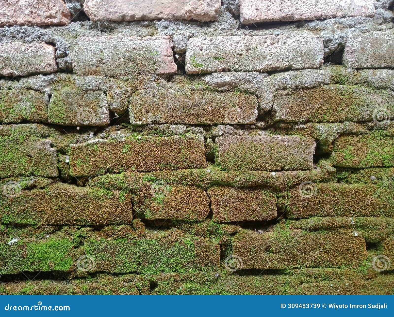 Worn and Mossy Brick Wall Texture Stock Image - Image of backgrounds ...