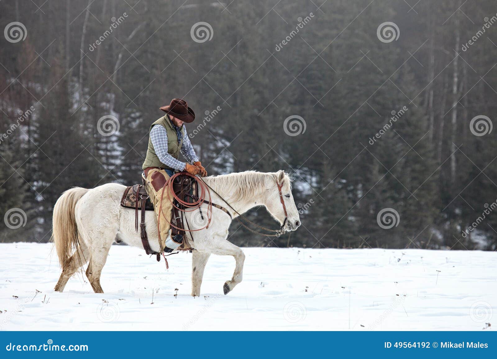 Worn out editorial photography. Image of snow, cowboys - 49564192