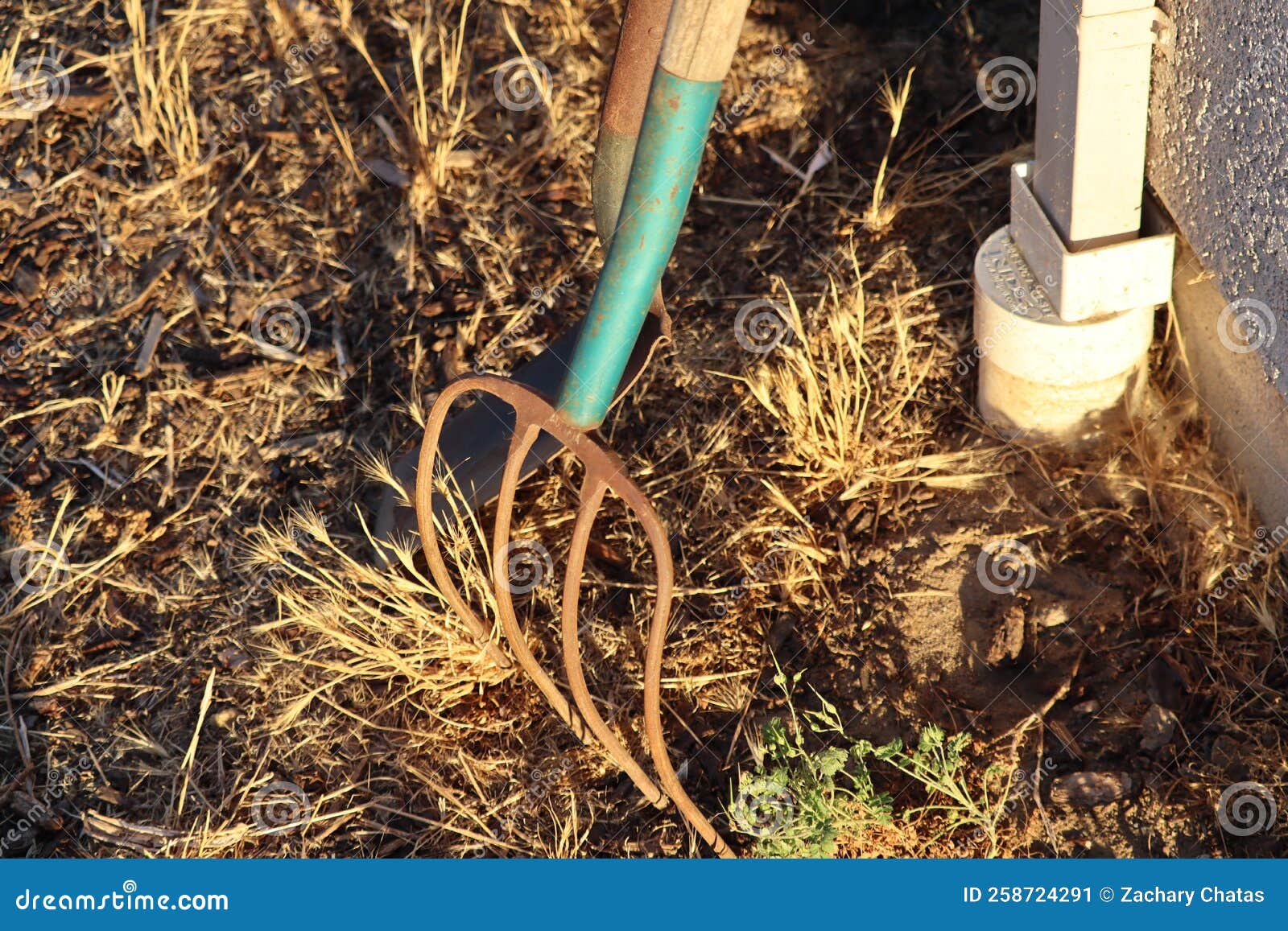 Worn Out Rusted Pitchfork in the Yard Stock Image - Image of ...