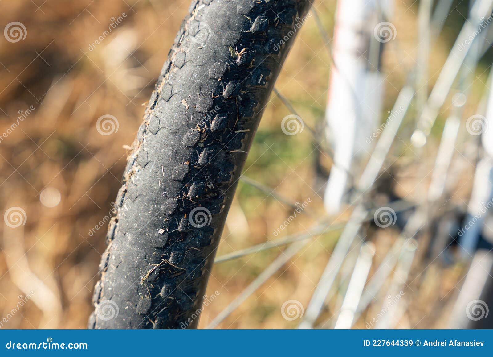 Worn Out Tread on an Old Bicycle Tire Stock Image - Image of speed ...