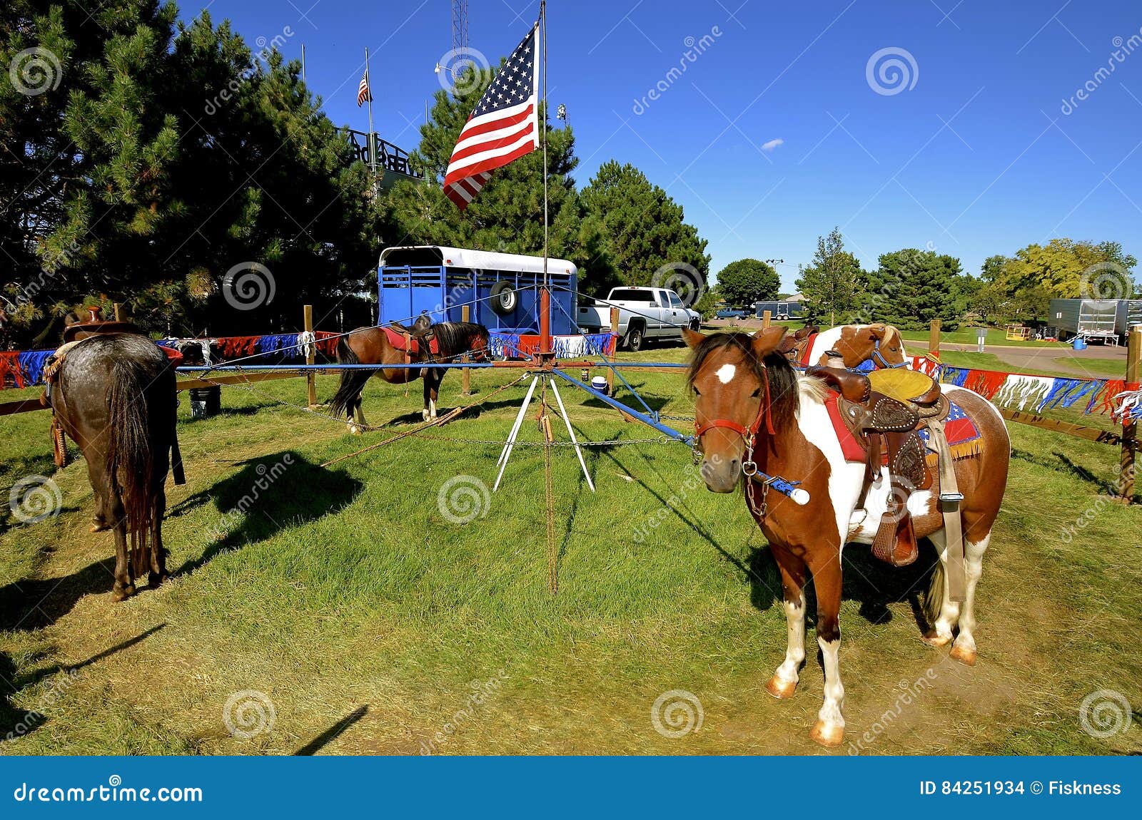 Worn path from pony rides stock photo. Image of pony - 84251934