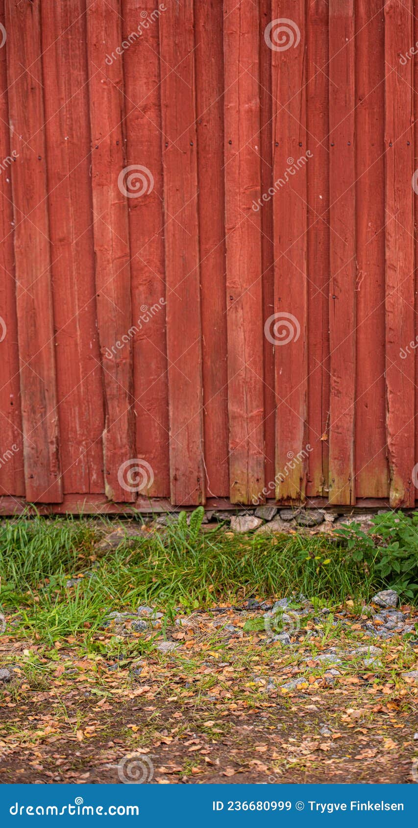 Worn Planks of a Red Barn Wall.. Stock Image - Image of country ...