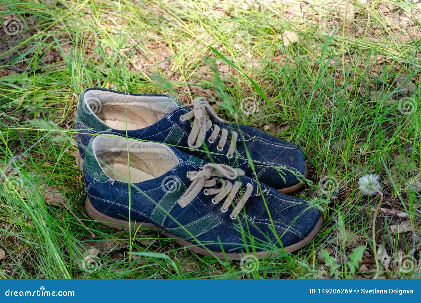 A Worn Shoes on Grass in a Summer Forest Stock Image - Image of gear ...