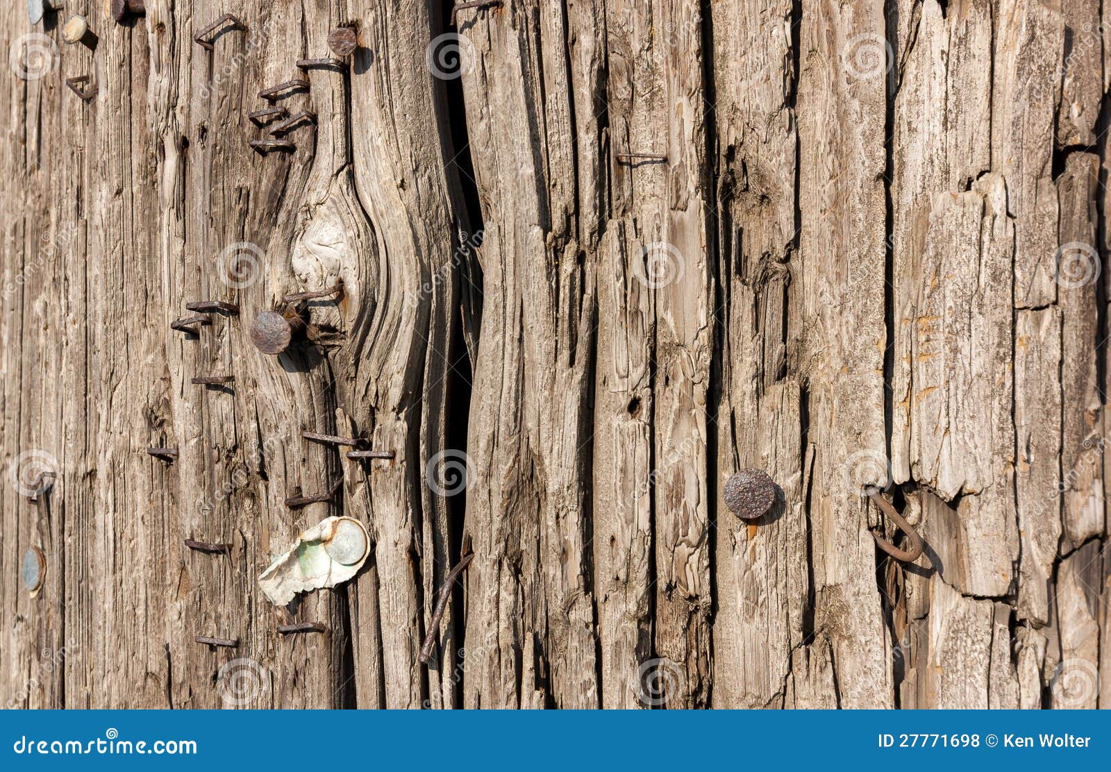 Wood Pole Lattice Ceiling Stock Image | CartoonDealer.com #103523125