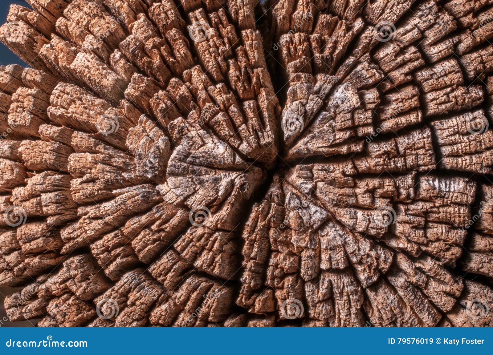 Worn Wood on Rustic Fence Post Stock Image - Image of farm, background ...