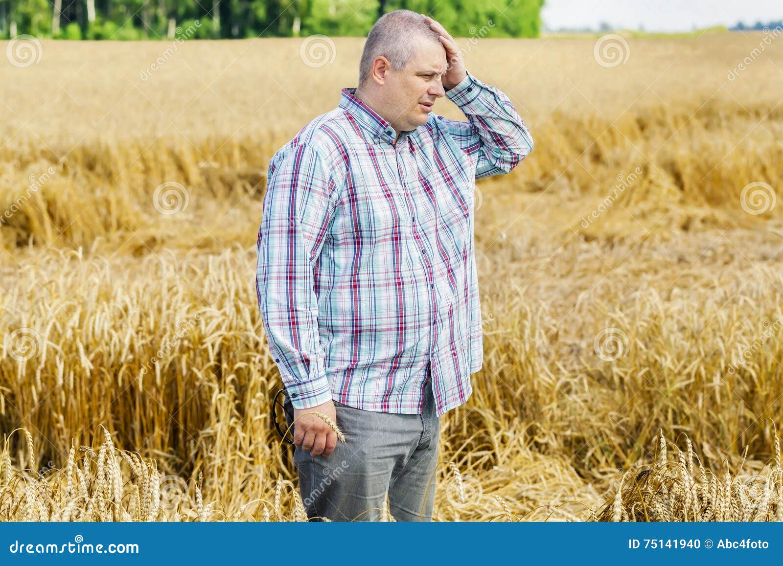 Worried Farmer on Destroyed Cereal Field Stock Photo - Image of garden ...