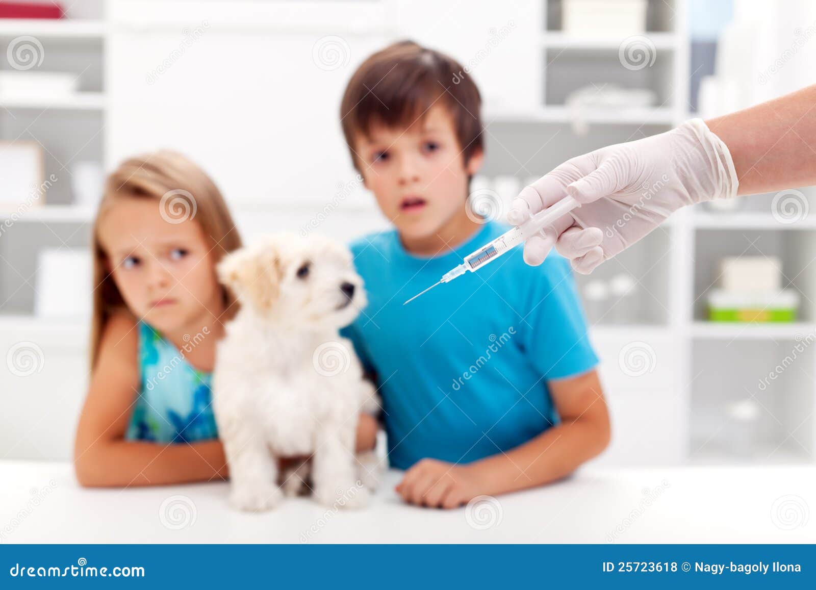 Worried Kids with Their Pet at the Veterinary Stock Photo - Image of ...