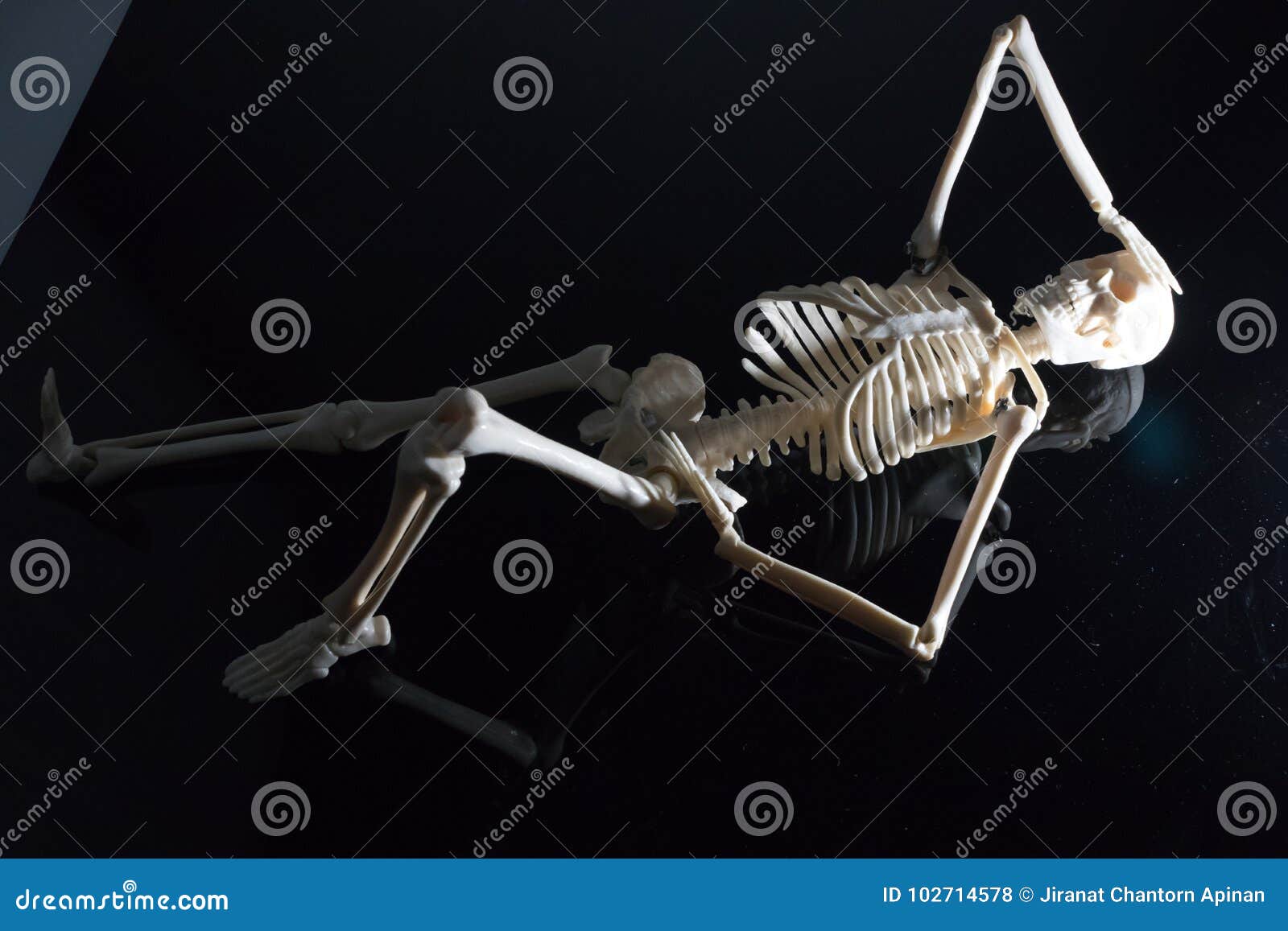 The Worried Skeleton Laying on the Black Reflection Plate Stock Photo ...
