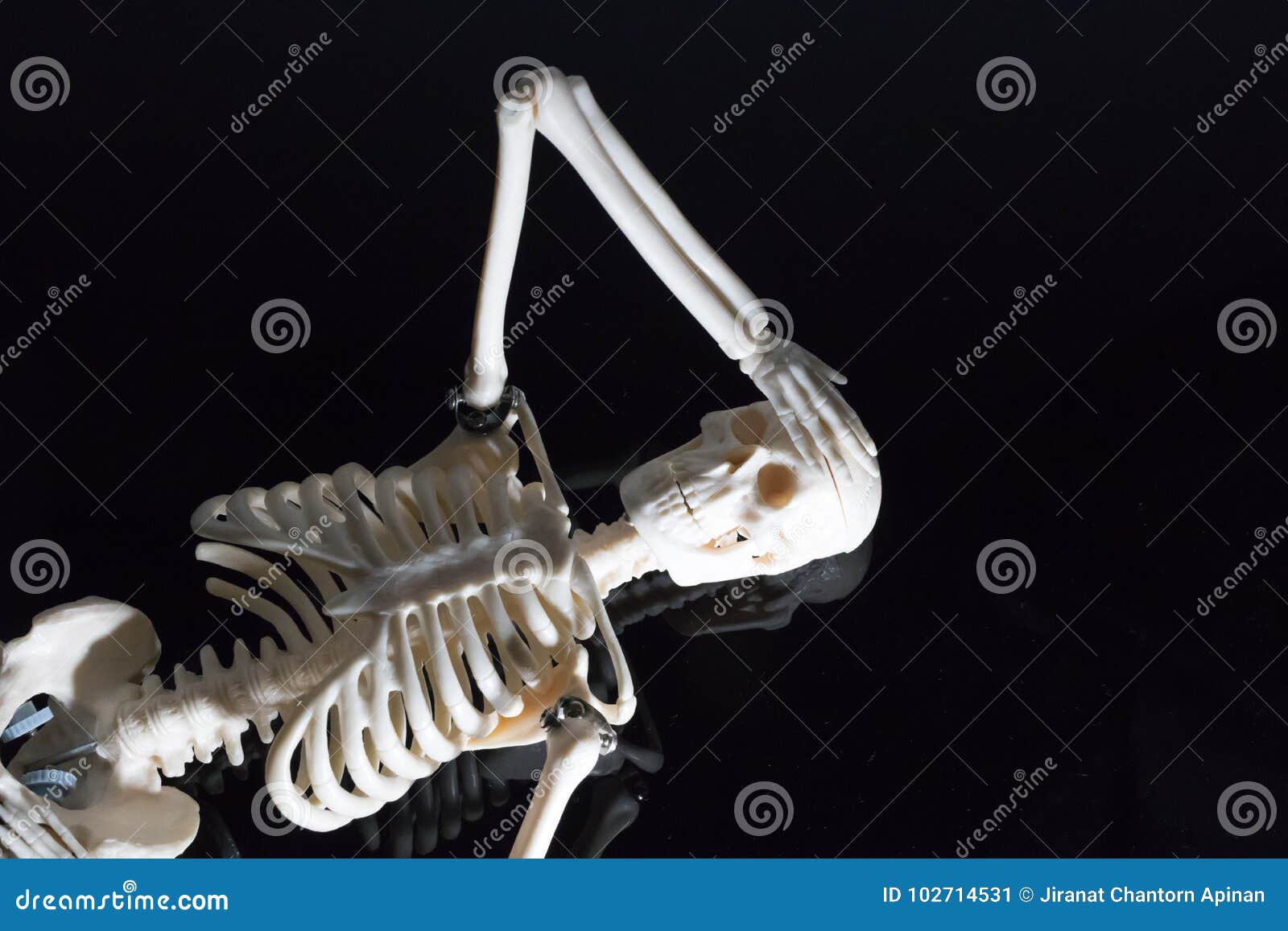 The Worried Skeleton Laying on the Black Reflection Plate Stock Image ...