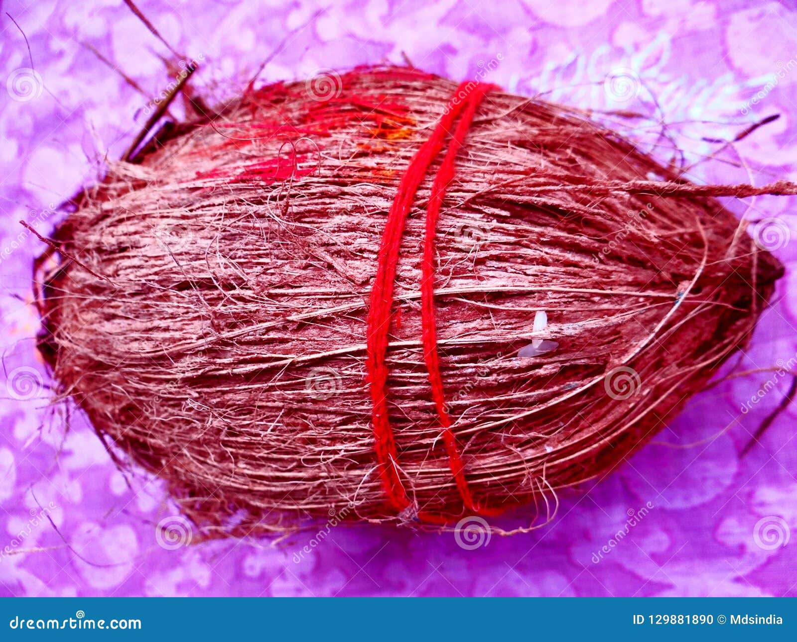 Worship coconut editorial image. Image of religion, india - 129881890