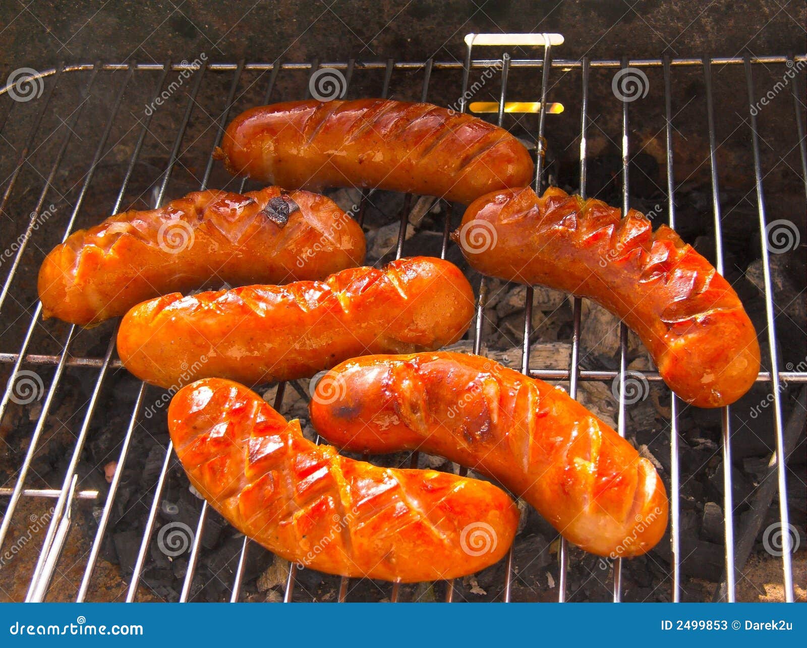 Worsten stock afbeelding. Image of lunch, toevallig, openlucht - 2499853