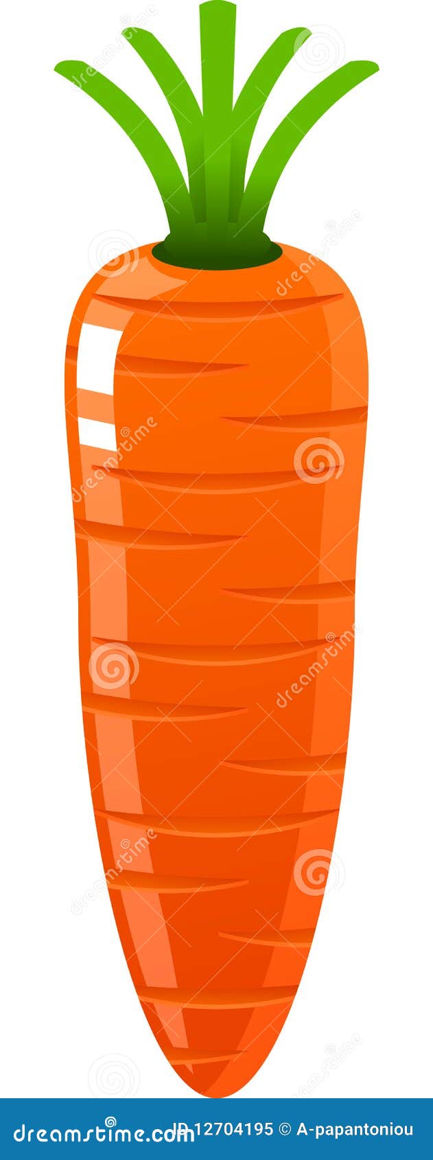 Wortel vector illustratie. Illustration of wortel, sinaasappel - 12704195