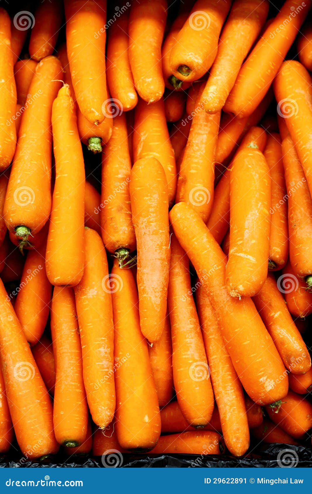 Wortel stock afbeelding. Image of organisch, supermarkt - 29622891