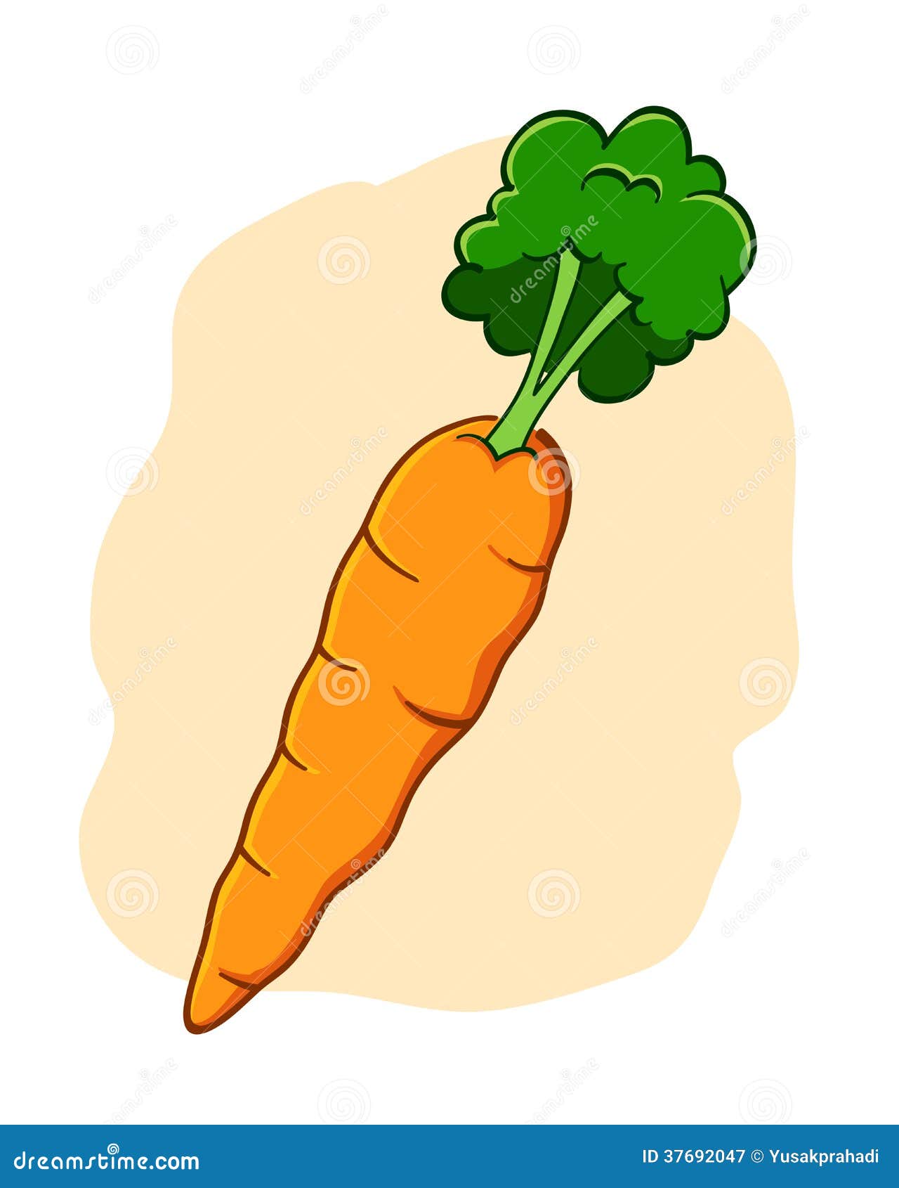 Wortel vector illustratie. Illustration of vegetariër - 37692047