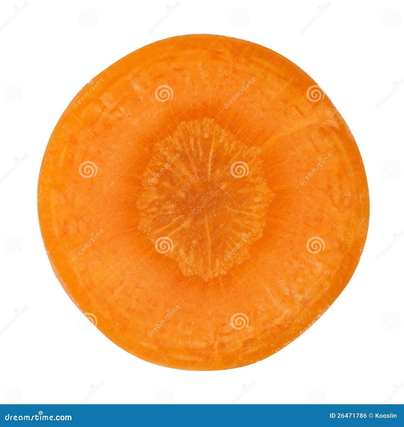 Wortel dwarsdoorsnede stock foto. Image of voedsel, organisch - 26471786