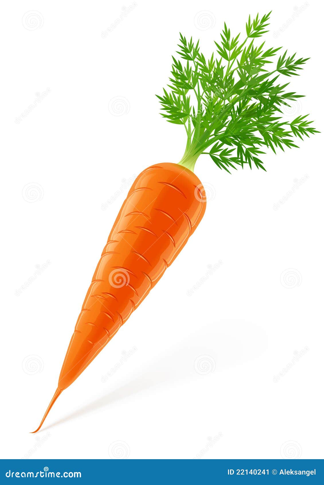 Wortel met bovenkant vector illustratie. Illustration of dieet - 22140241