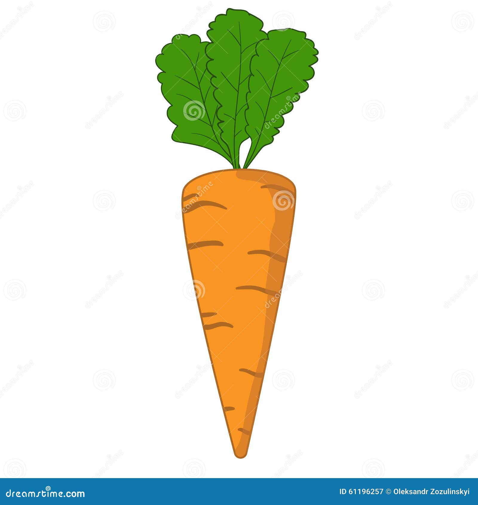 Wortel Oranje Vectorbeeld Op Wit Vector Illustratie - Illustration of ...