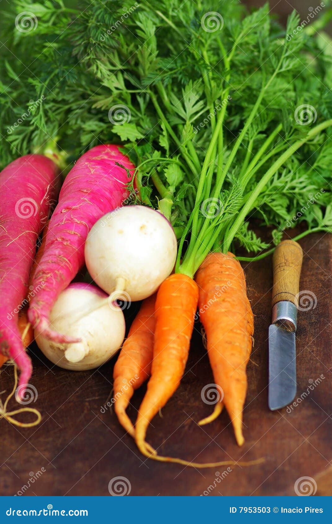 Wortel, raap en groenten. stock afbeelding. Image of gezond - 7953503