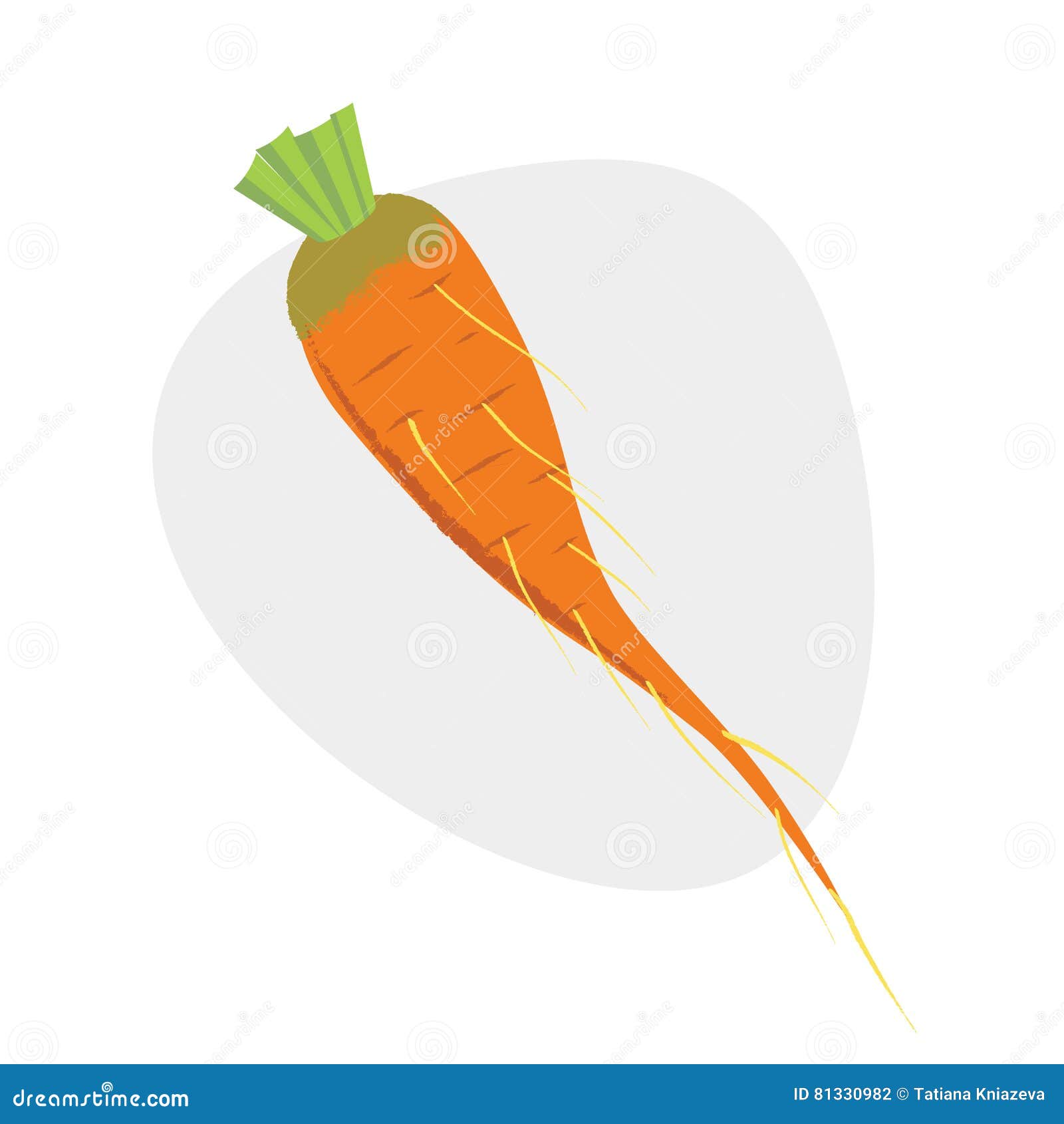 Wortel Vector illustratie vector illustratie. Illustration of voedsel ...