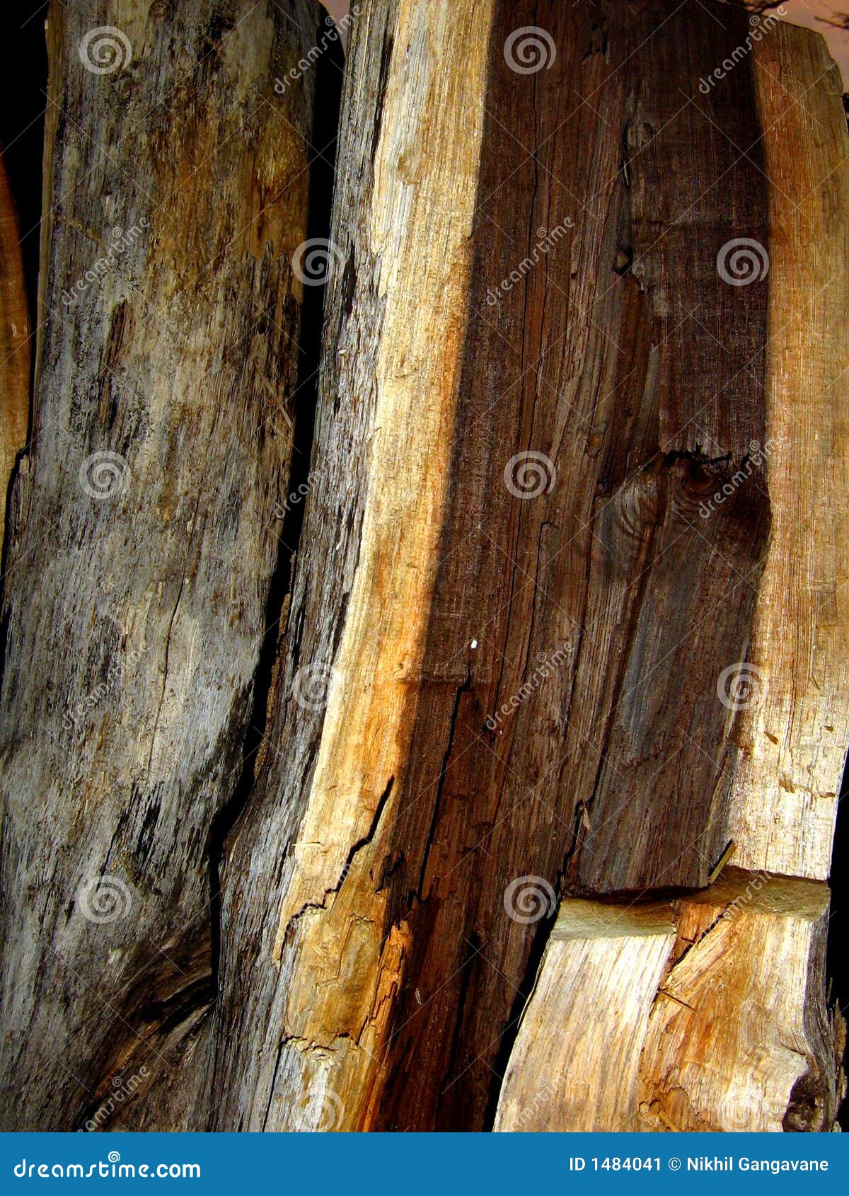 Wounded stock image. Image of colors, details, closeup - 1484041