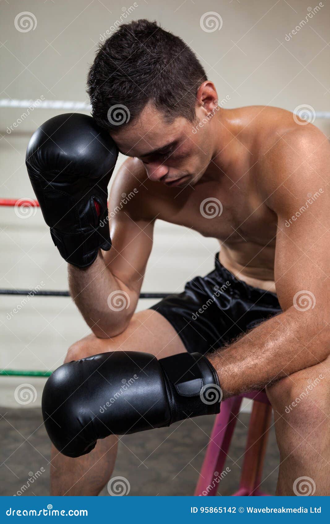 Wounded Boxer Relaxing in the Boxing Ring Stock Photo - Image of ...