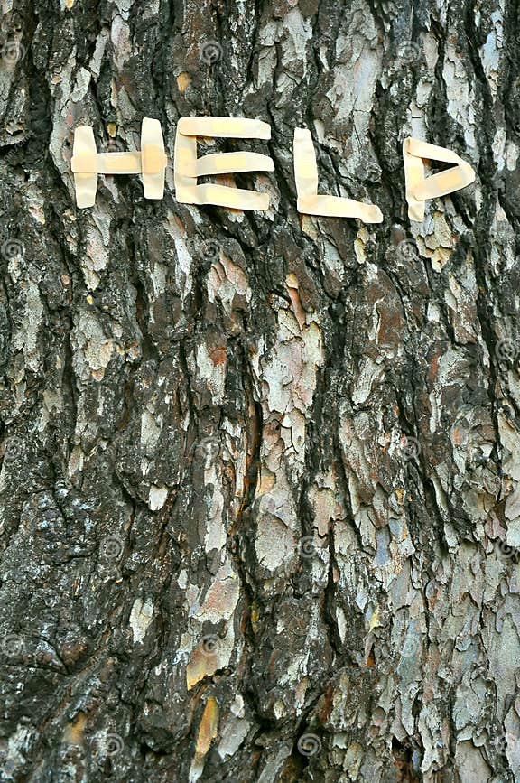 Wounded nature concept stock image. Image of forest, distroy - 17773851