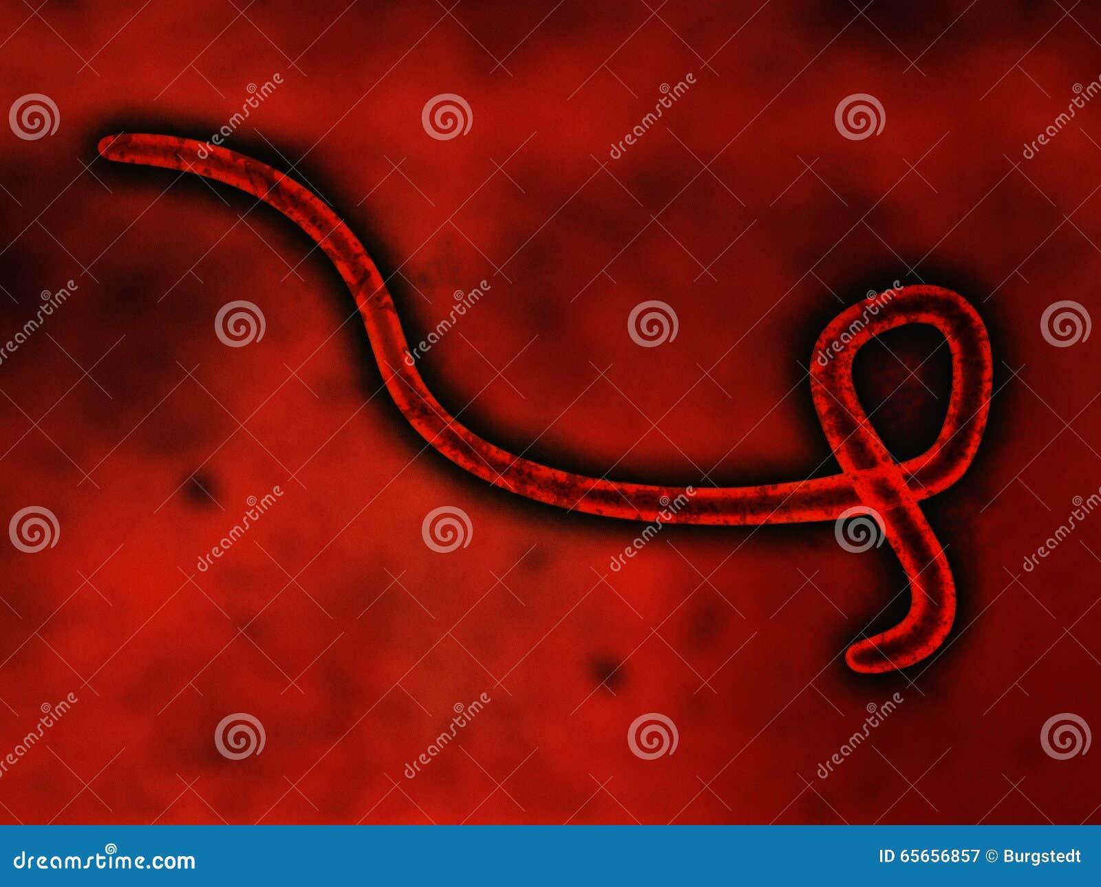 Wounded Transparent Red Virus Cell Royalty-Free Stock Photo ...