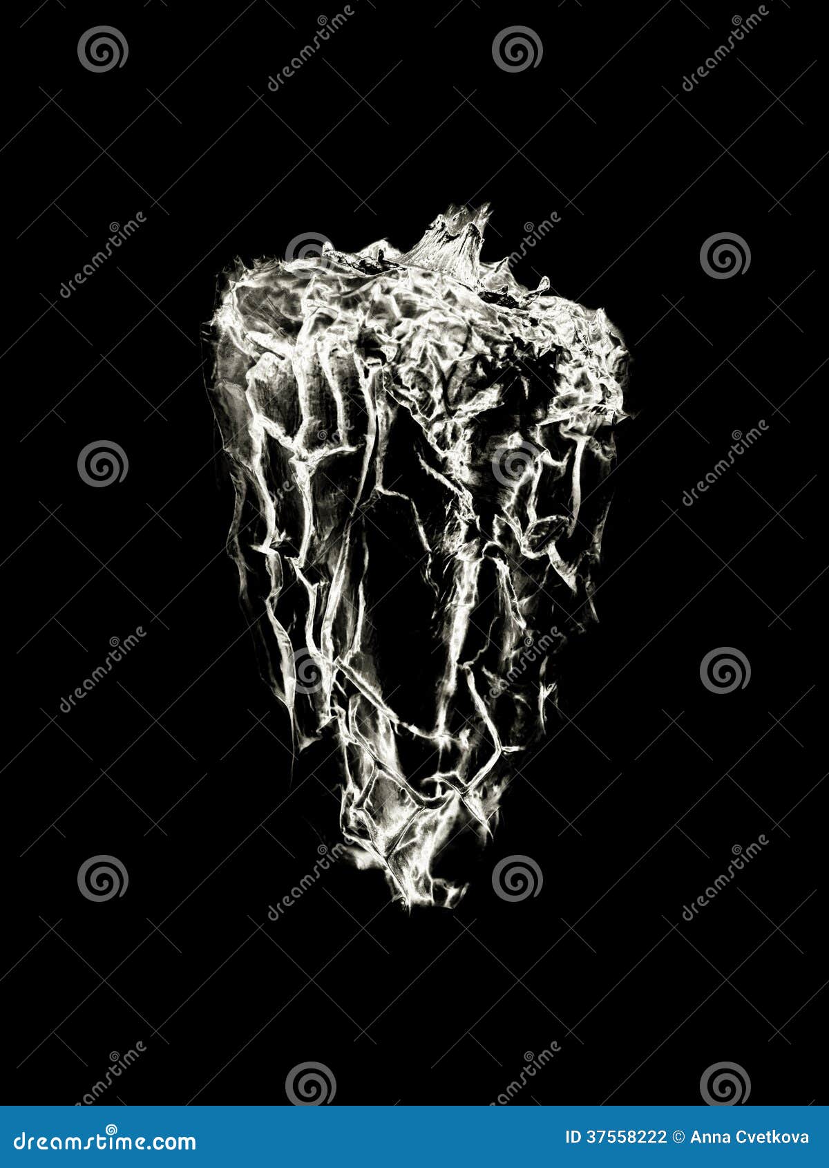 Wounded Withered Heart Shape Curves Stock Photo - Image of hard, heart ...