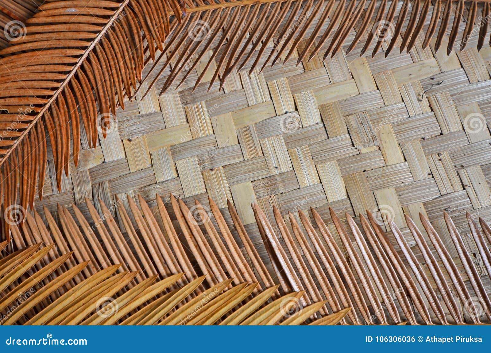 Woven Bamboo Background of Cycad Leaves Stock Photo - Image of colorful ...