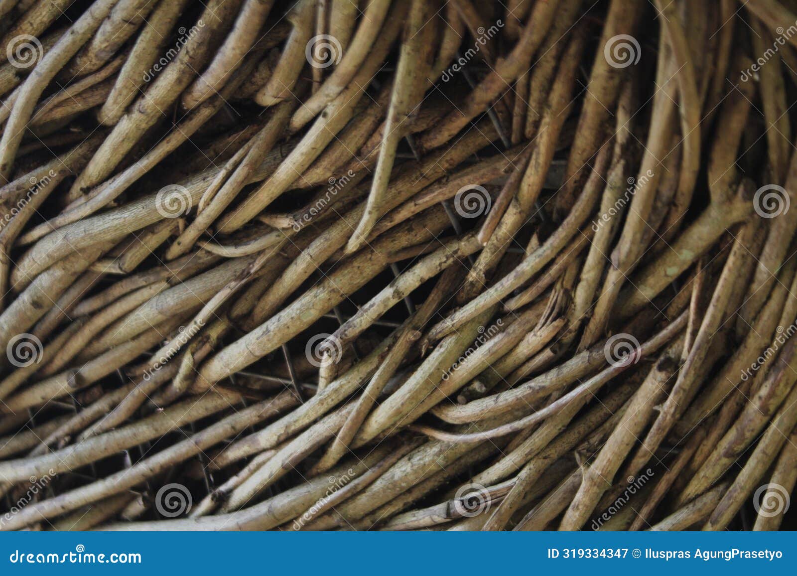 Woven dry plant roots stock image. Image of branch, produce - 319334347