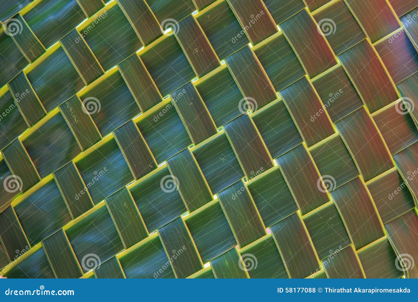 Woven Green Coconut Leaves Texture Stock Photography | CartoonDealer ...
