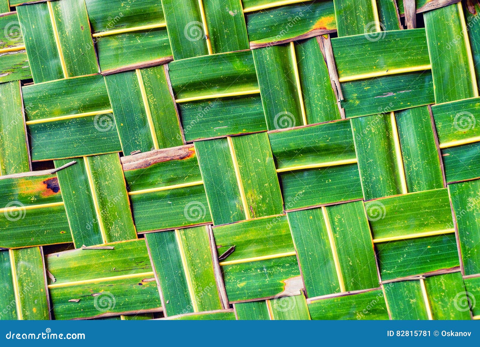 Woven Green Coconut Leaves Texture Stock Image - Image of detail, braid ...