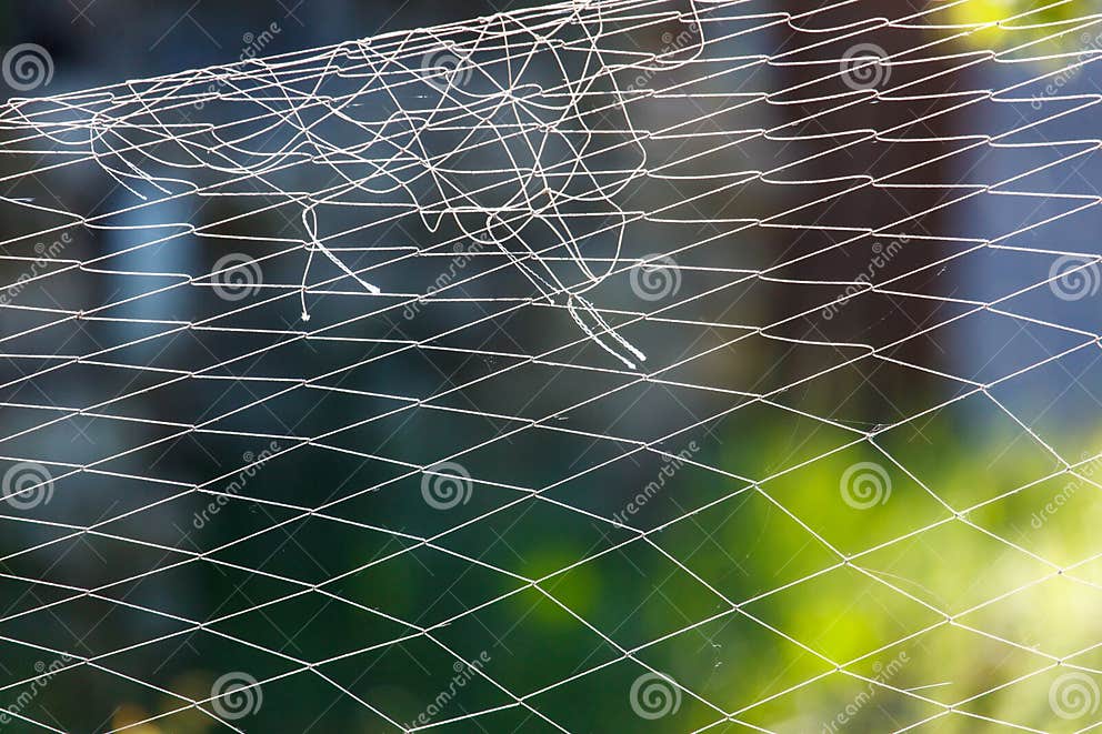 Woven Net Against the Backdrop of Nature in Summer Stock Photo - Image ...