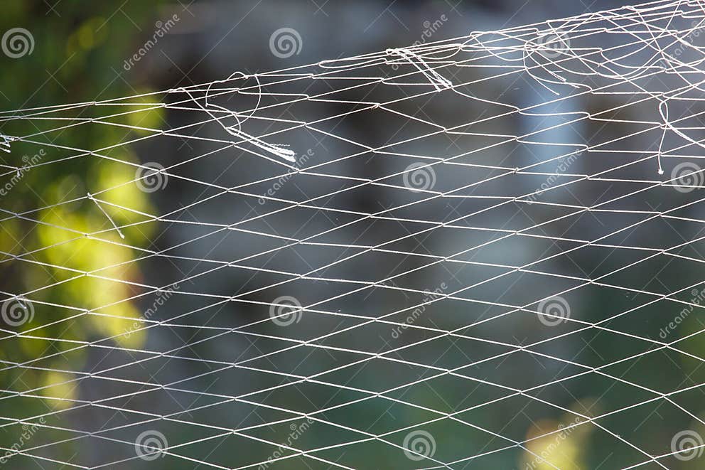 Woven Net Against the Backdrop of Nature in Summer Stock Photo - Image ...