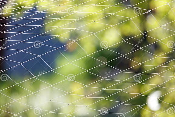 Woven Net Against the Backdrop of Nature in Summer Stock Photo - Image ...