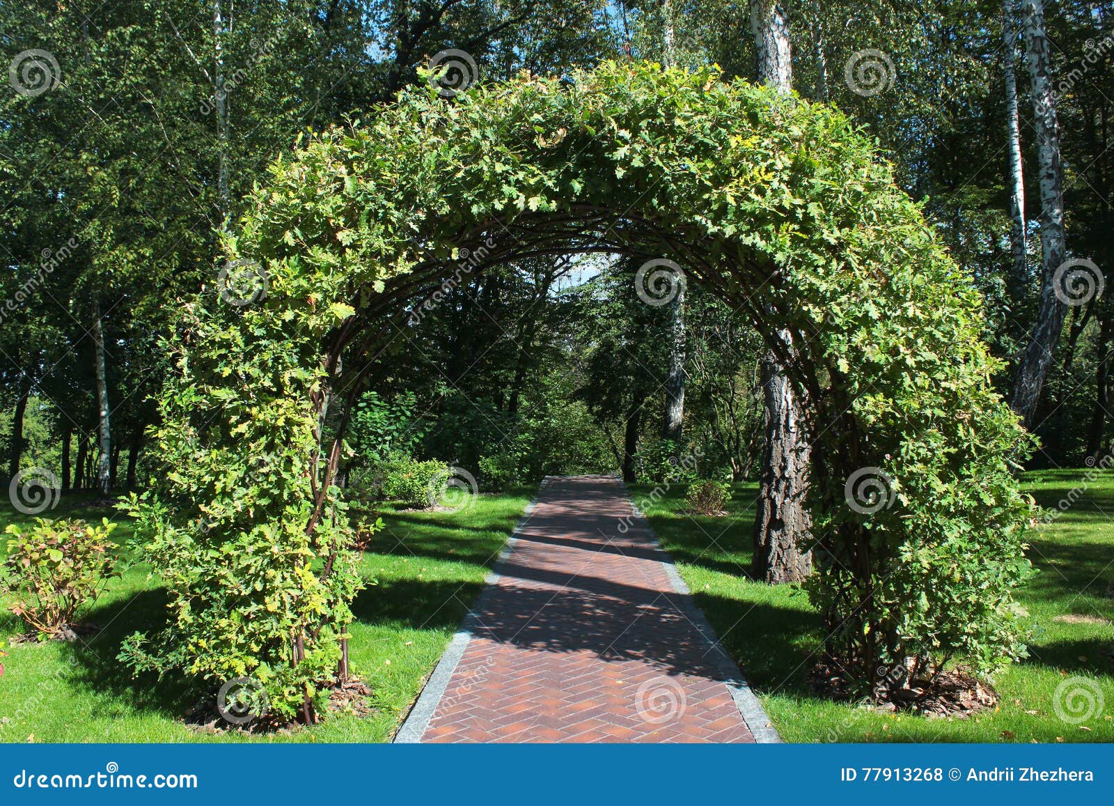 Woven Oak Branches Forming an Arch in Beautiful Garden Stock Photo ...
