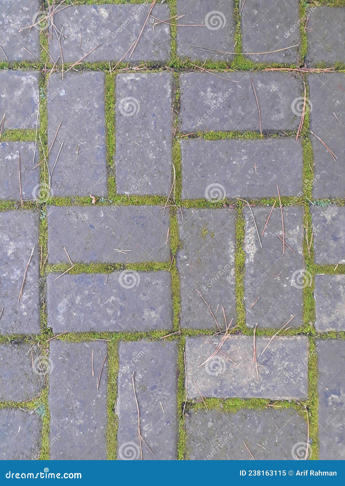 Woven Paving Motifs for Roads Installed in Protected Forests Stock ...