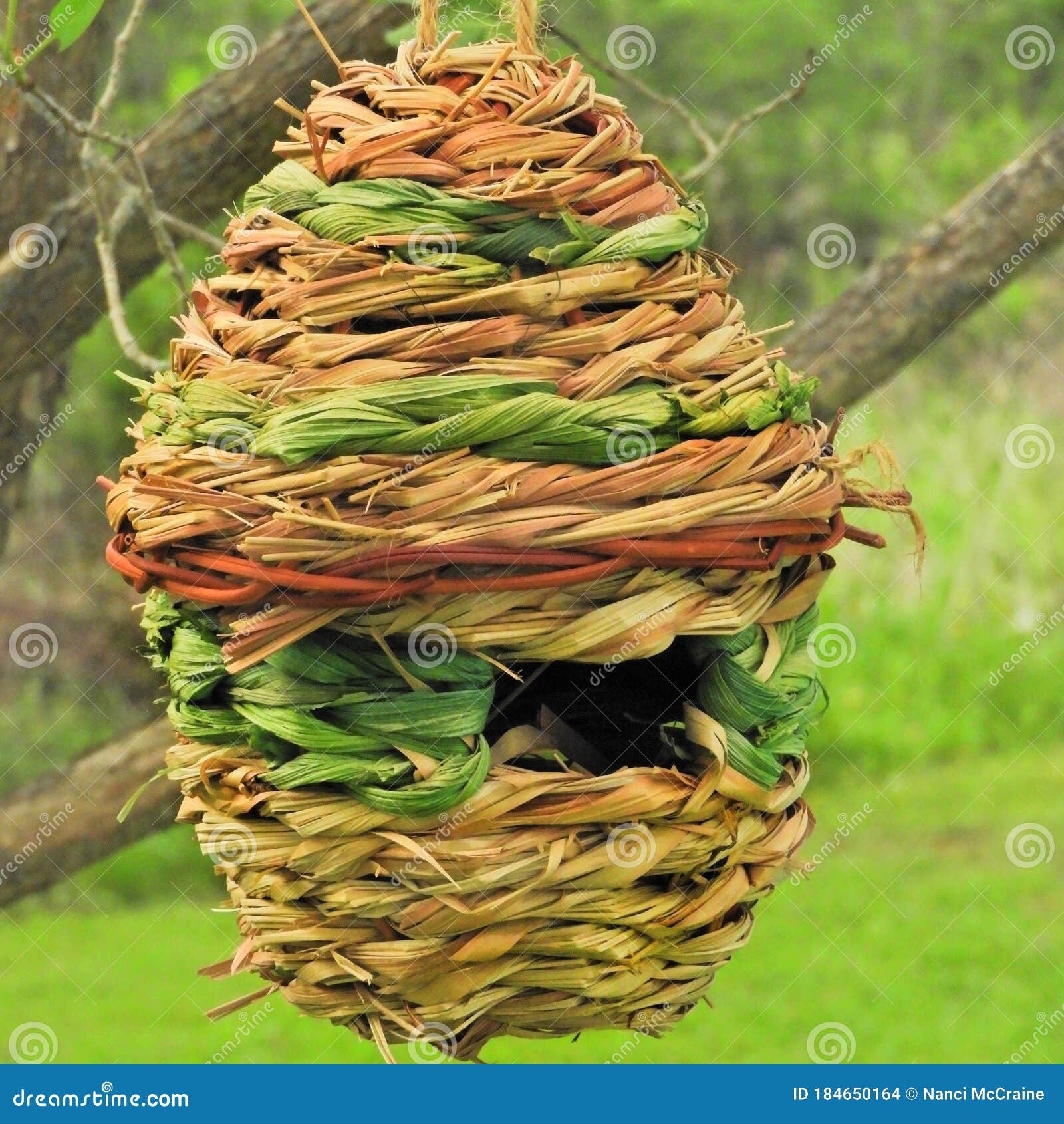 Woven Reed Nest Attracts Birds Stock Photo - Image of natural ...