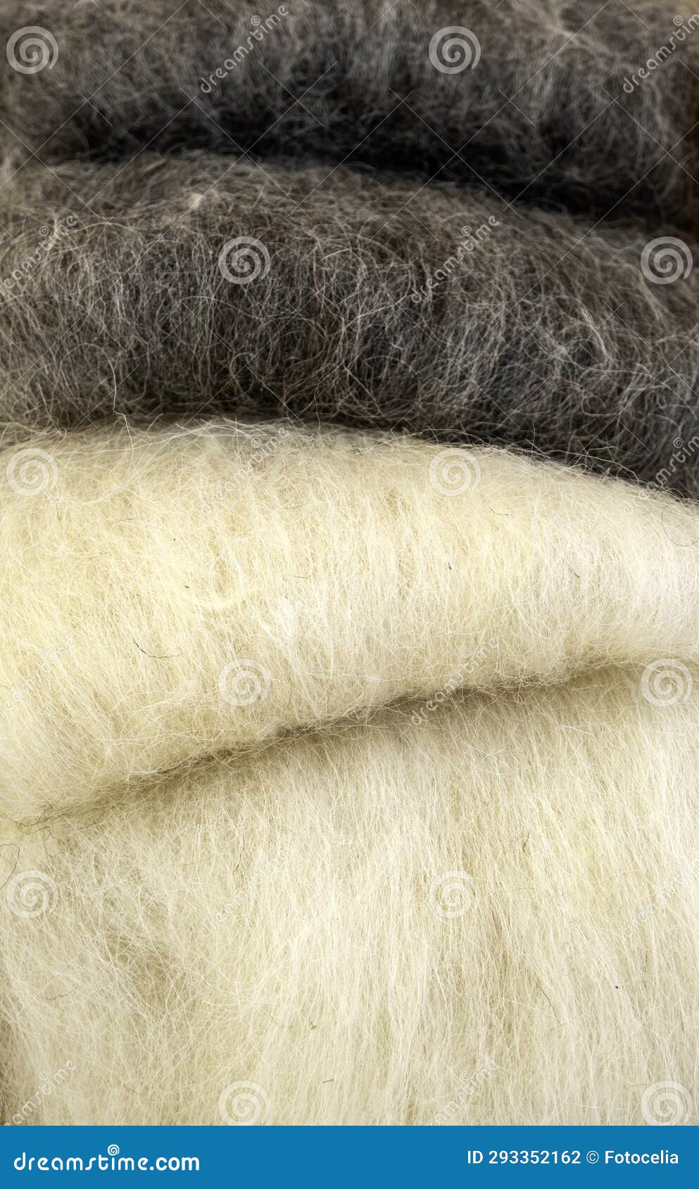 Woven sheep wool stock photo. Image of cloth, material - 293352162