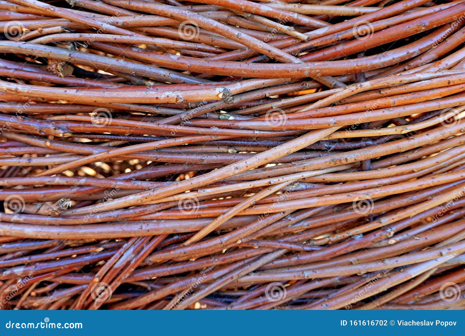Woven twig tree background stock photo. Image of material - 161616702