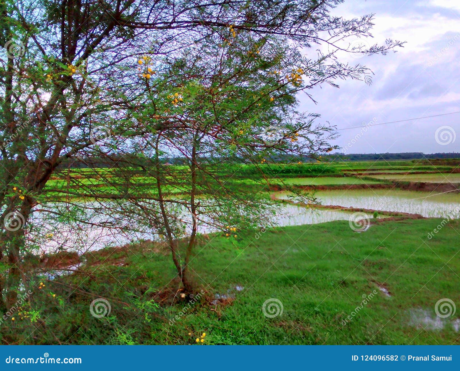 Neutral stock photo. Image of neutral, great - 124096582