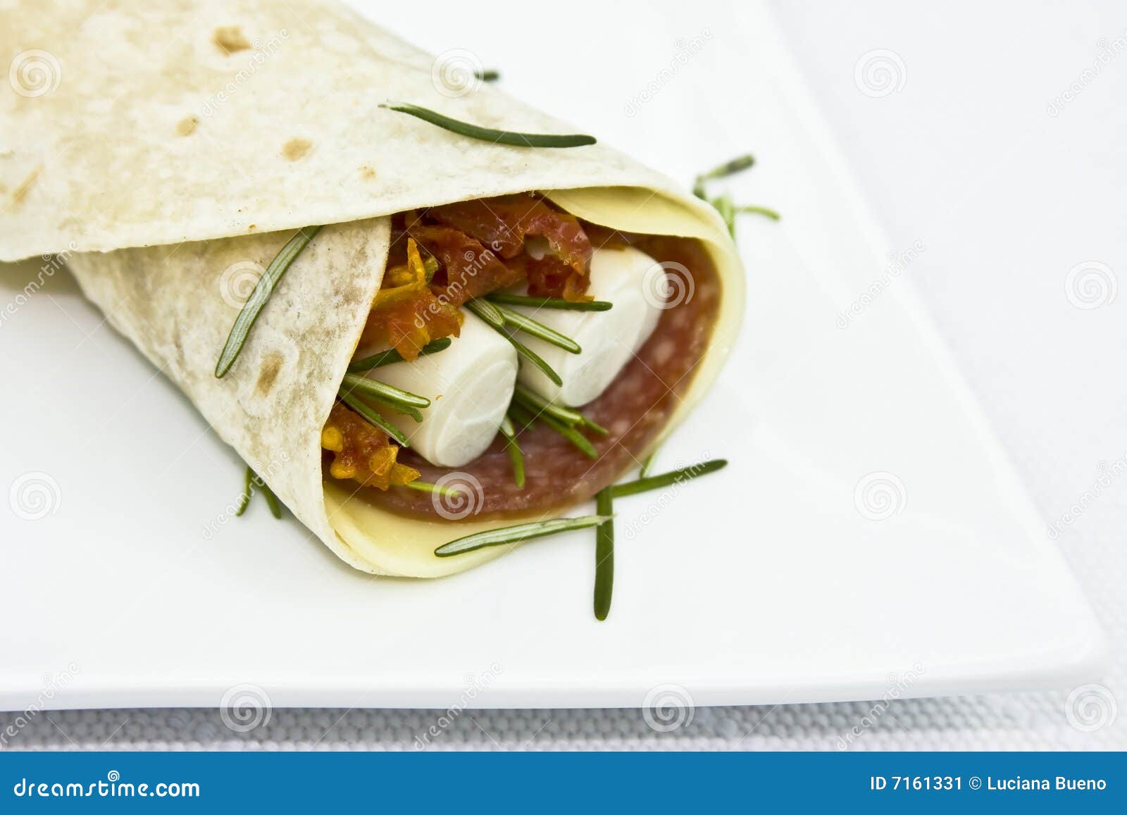 Wrap Sandwich on White Plate Stock Image - Image of wrap, burrito: 7161331