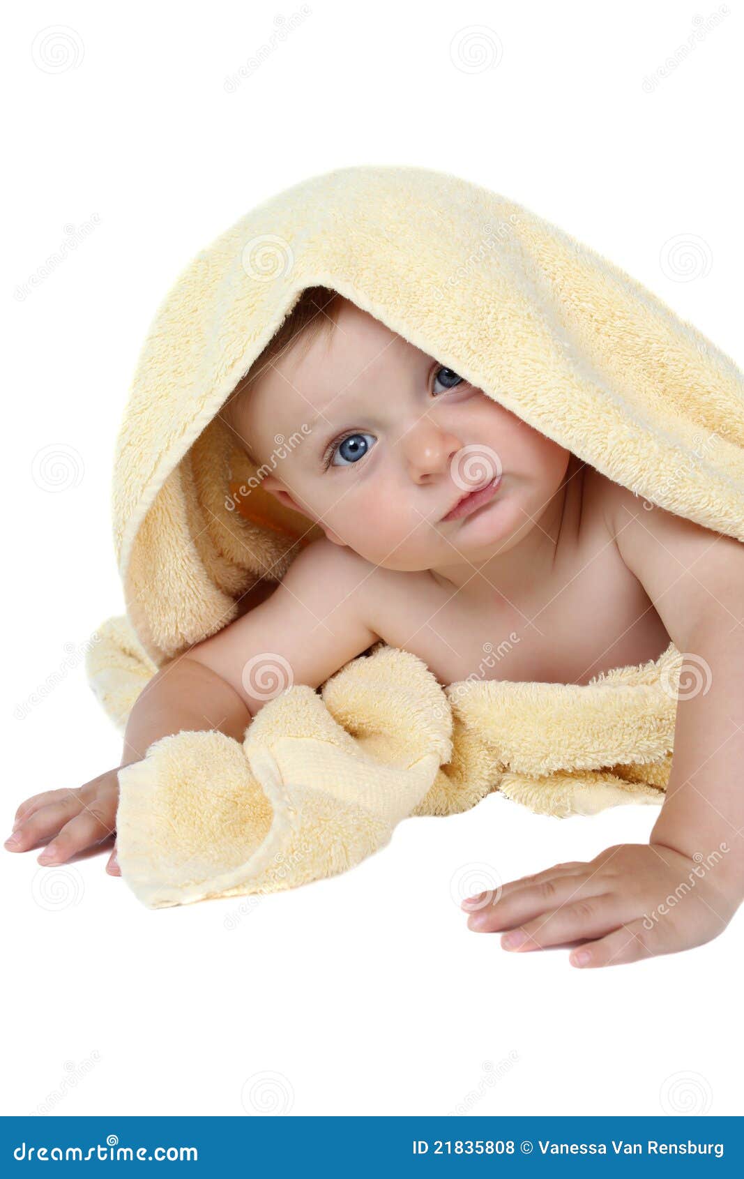 Wrapped baby stock photo. Image of baby, health, hygience - 21835808
