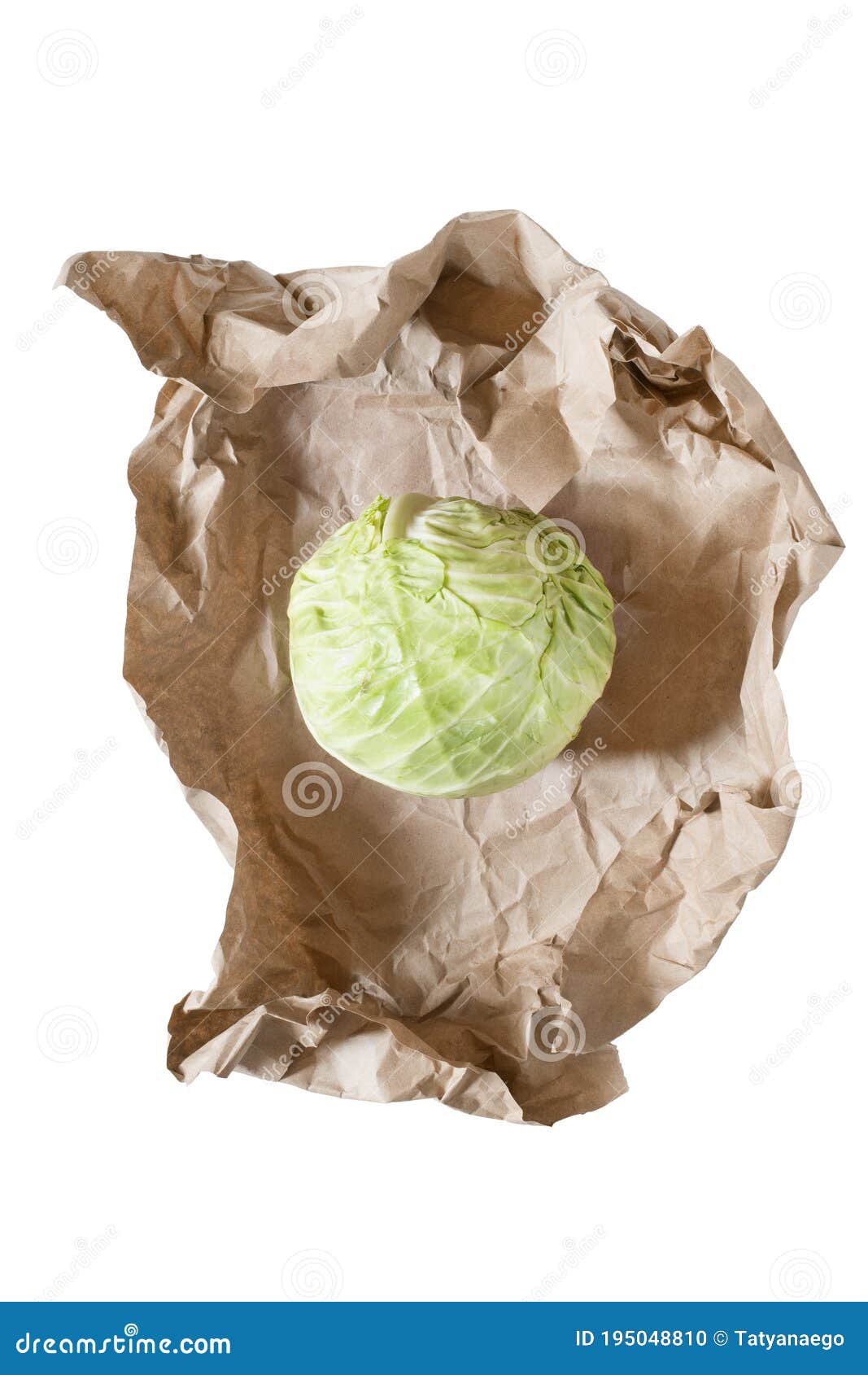 Wrapped cabbage isolated stock photo. Image of object - 195048810