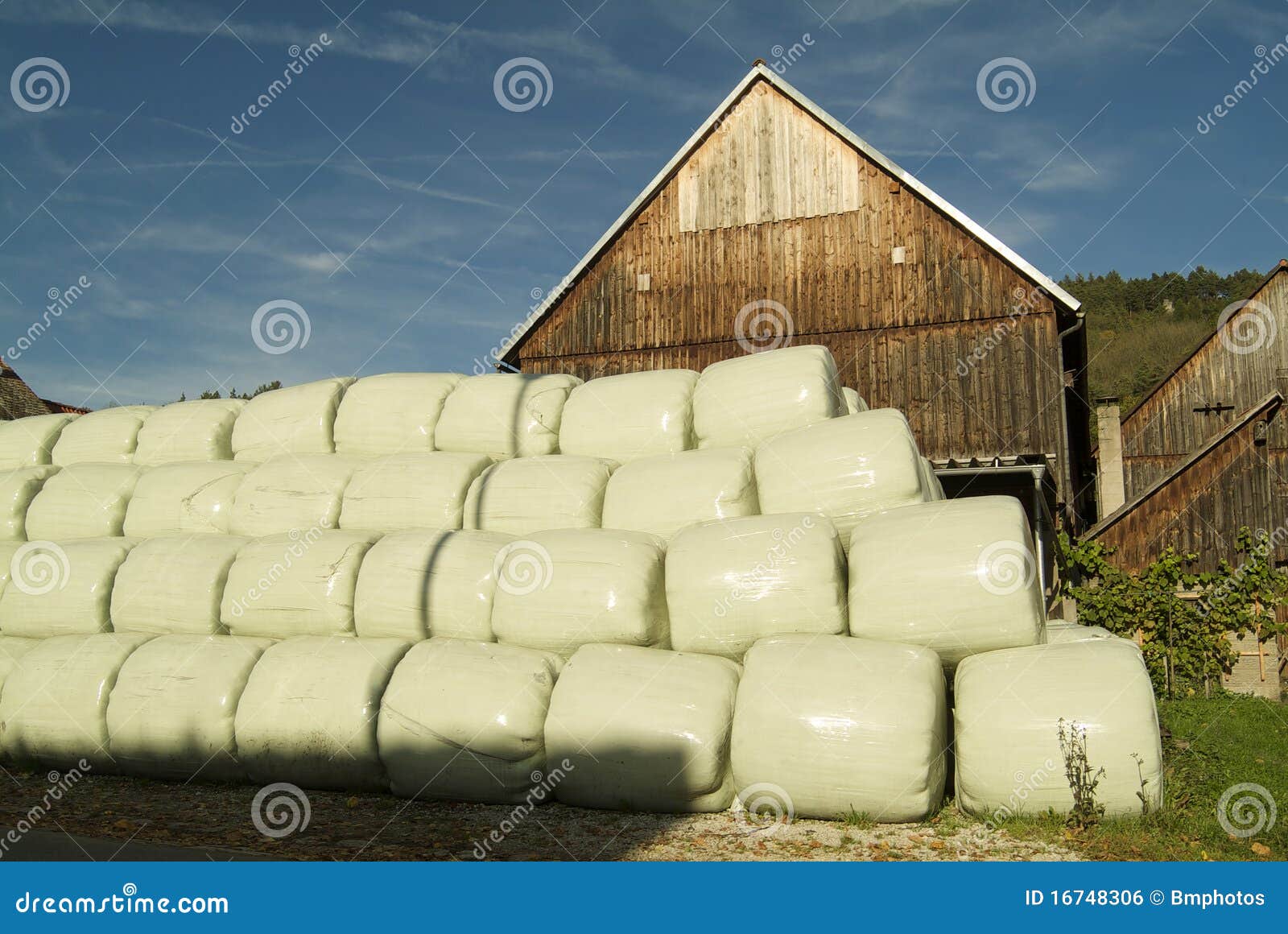 Wrapped Hay stock photo. Image of barn, fall, grass, brown - 16748306