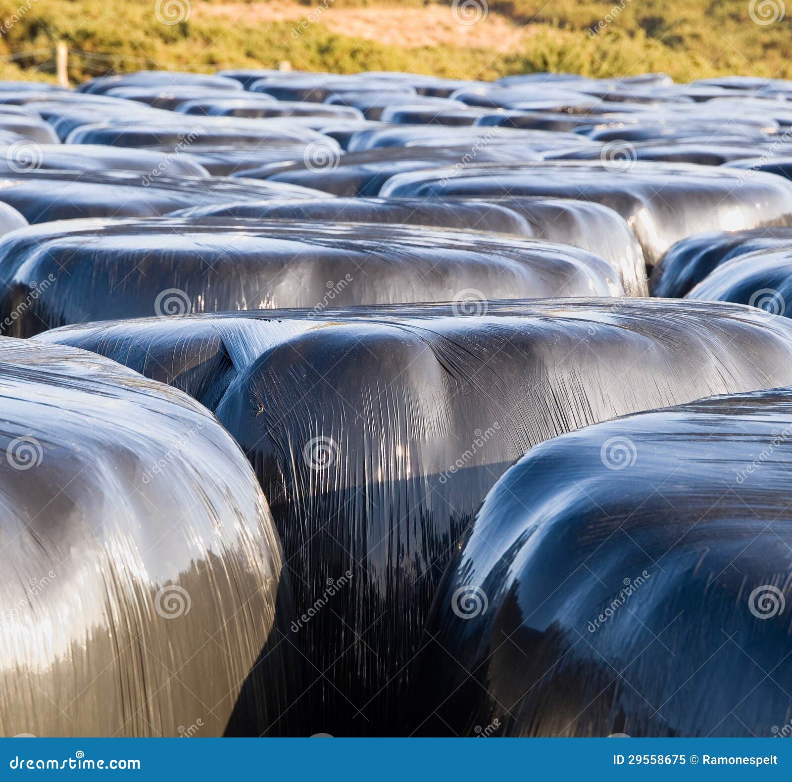 Wrapped hay bales stock image. Image of close, farm, harvest - 29558675